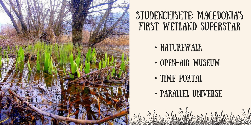 Wetland Future Vision – Ohrid SOS