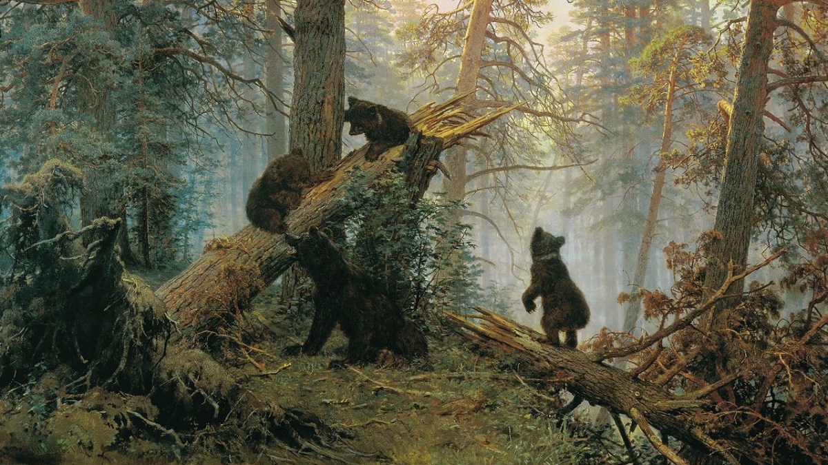 Balkan Bears – Ohrid SOS